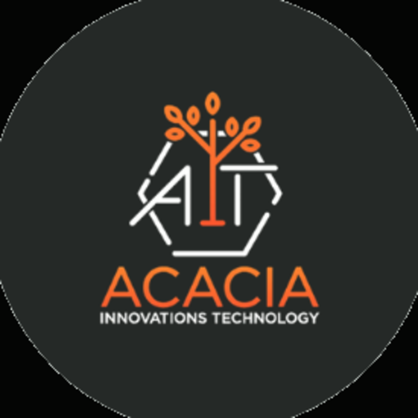 Acacia Innovations Technology(Management Consultants) in Dubai Silicon ...