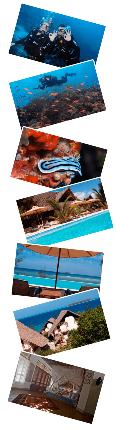 Al Boom Diving Club(Adventure Sports) in Jumeirah 1, Dubai - HiDubai