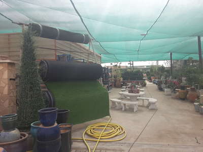 Orchid Garden Centre(Gardening & Landscaping) in Warsan 3, Dubai - HiDubai