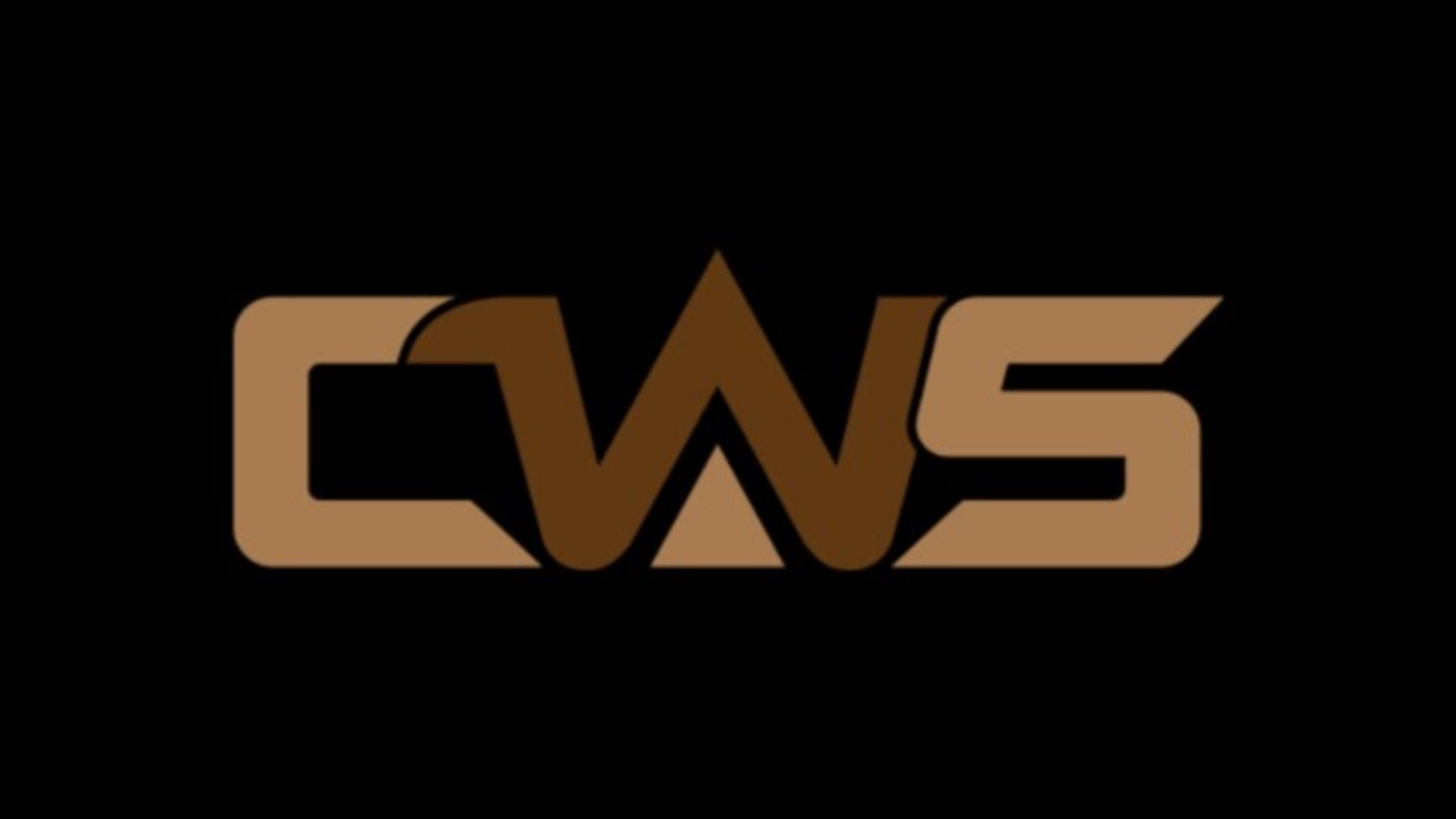 CWS General Trading(Construction & Building Material Trading) in Al ...