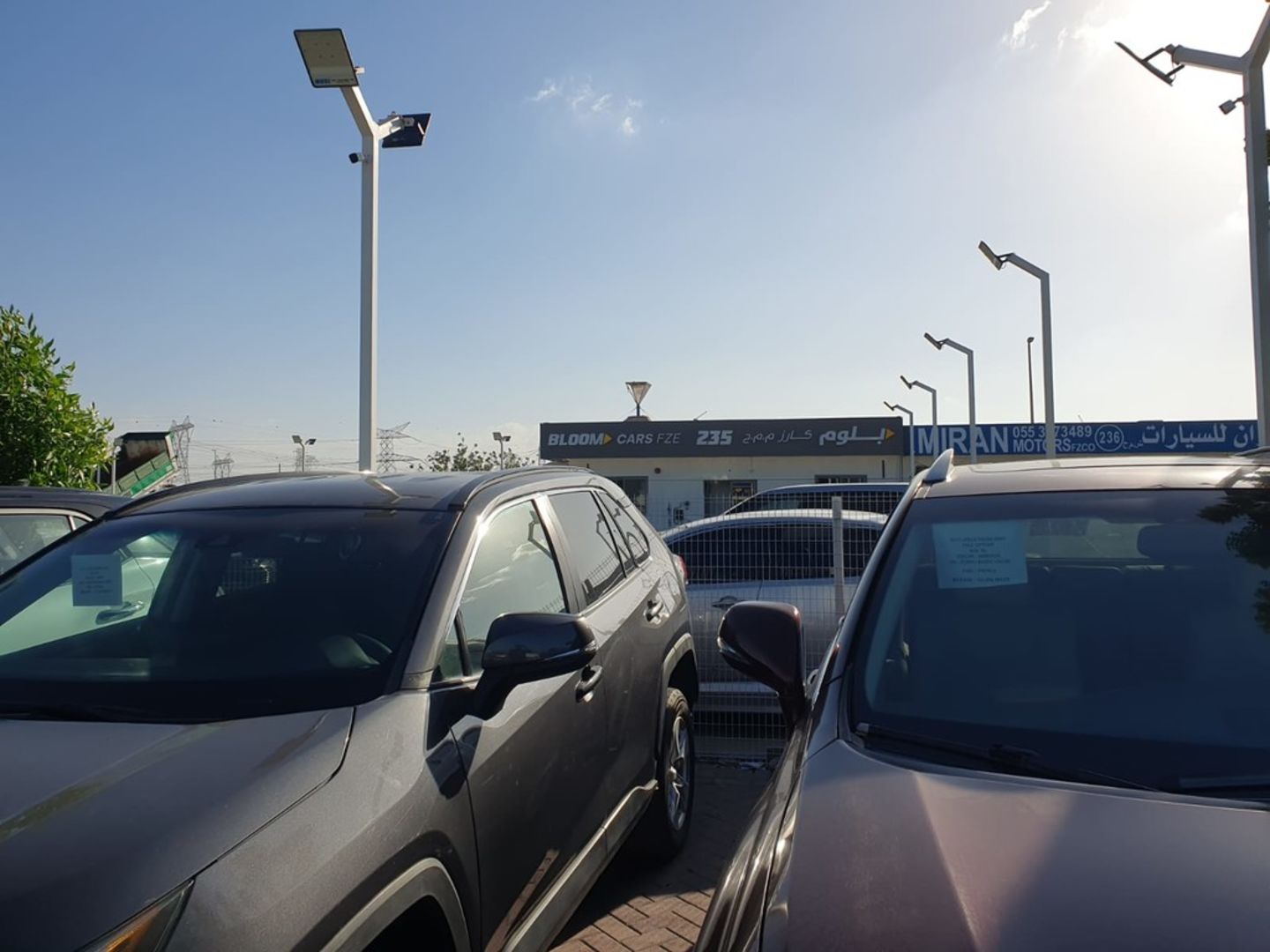 Bloom Cars(Car Showrooms & Service Centres) in Ras Al Khor Industrial 3 ...