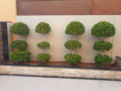 TARIQ KHAN LANDSCAPE AND MAINTENANCE L.L.C(Landscaping) in Al Murar ...