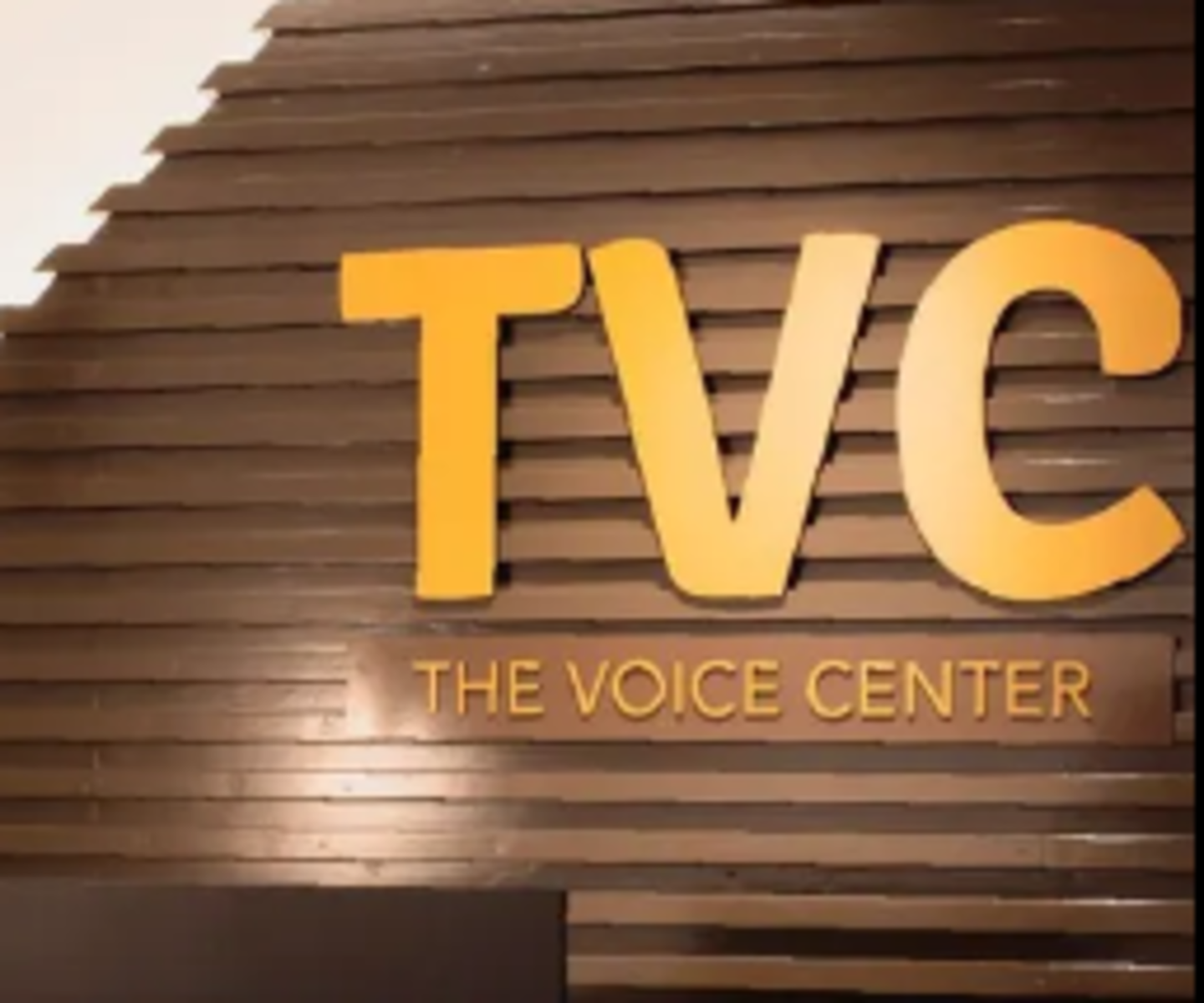The Voice Center(Audio/Video Production) in Al Barsha 1, Dubai - HiDubai