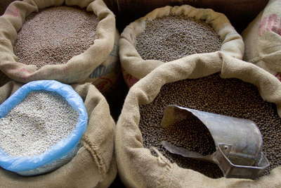 Black Soil Trading(Food Stuff Trading) in Port Saeed, Dubai - HiDubai