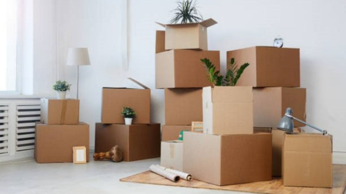 Saif Al Safa Cargo Packaging(Moving & Storage Services) in Al Khabaisi, Dubai - HiDubai