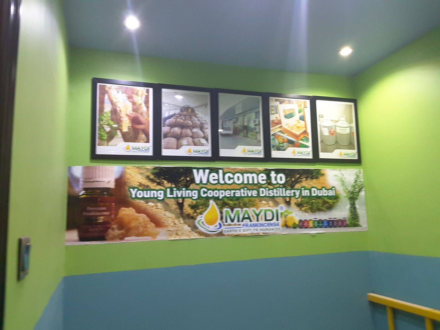 Maydi Frankincense Natural Oil(Distributors & Wholesalers) in Al Qusais Industrial 3, Dubai ...