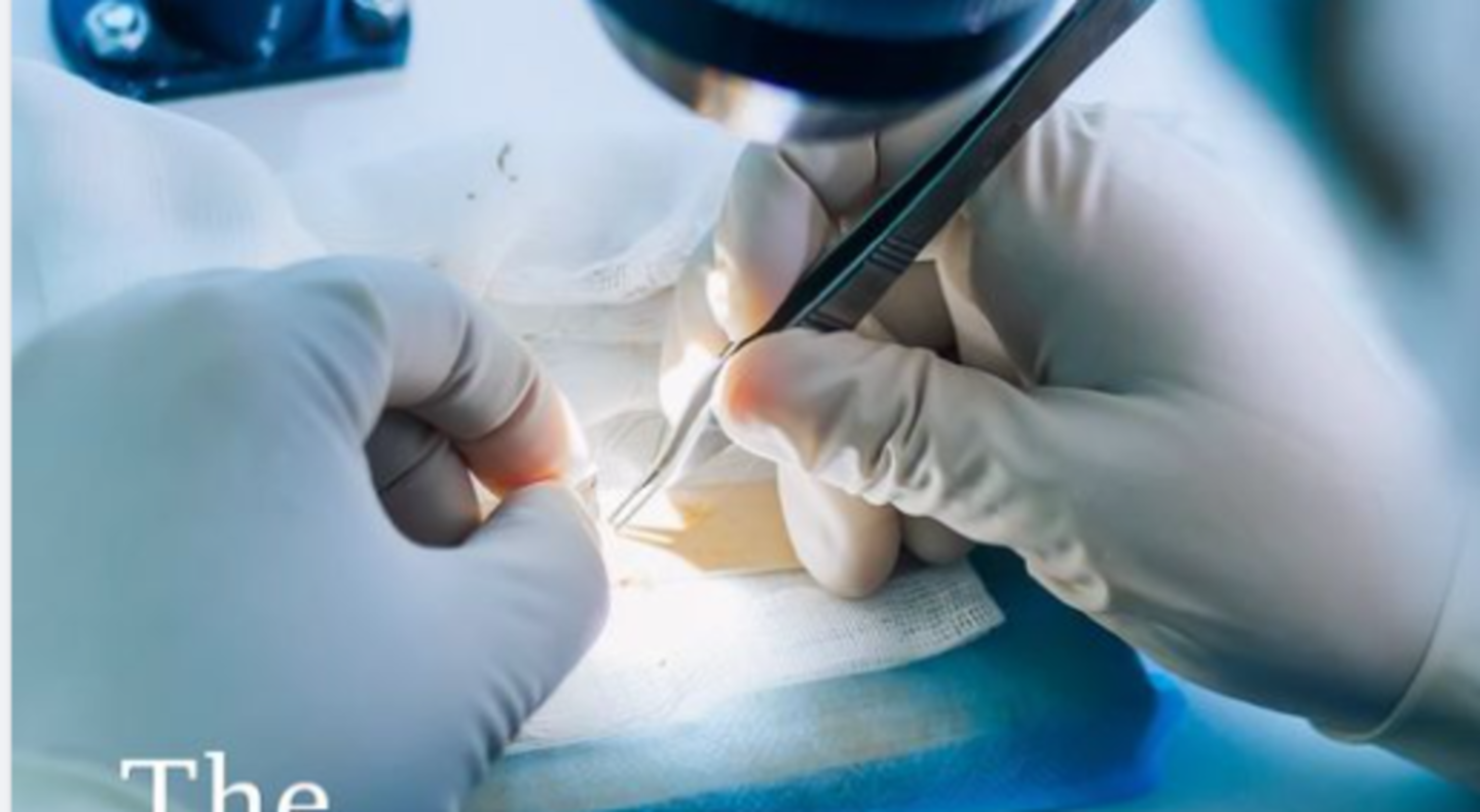 Silkor Laser And Cosmetic Surgery Specialty Clinics In Burj Khalifa