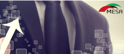 Mesa Management(Business Setup And PROs) in Al Wasl, Dubai - HiDubai