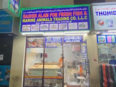 Bashir Alam For Fresh Fish & Marine Animals Trading(Food Stuff Trading ...