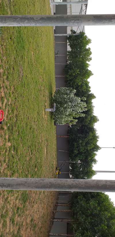 TARIQ KHAN LANDSCAPE AND MAINTENANCE L.L.C(Landscaping) in Al Murar ...