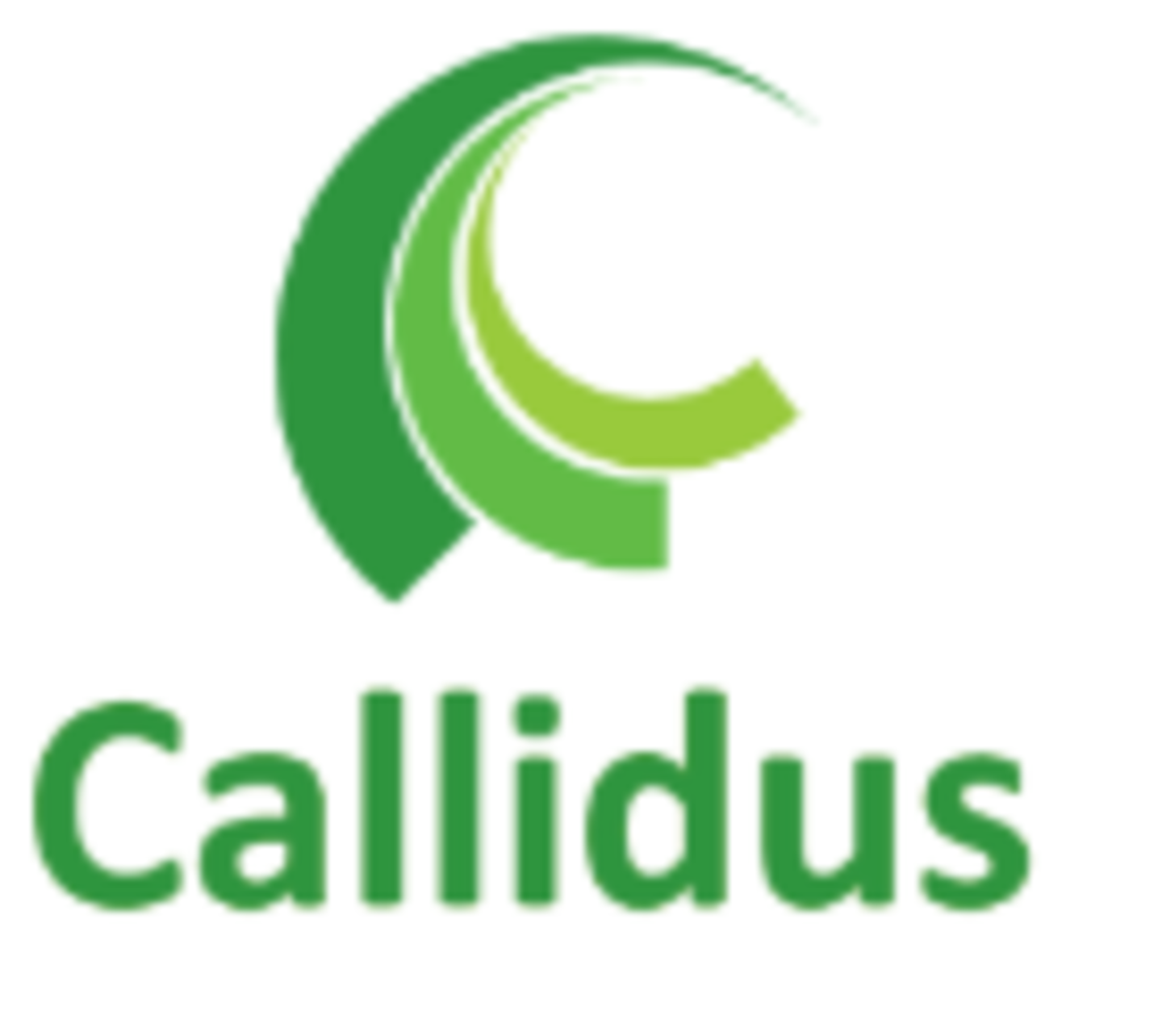 Callidus Consulting(Management Consultants) in Dubai International ...