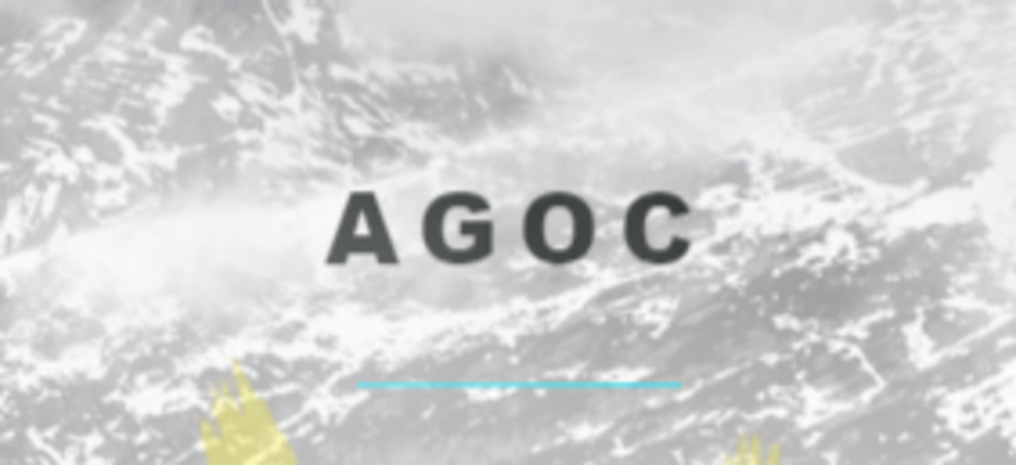AGOC General Security Guard Services(Safety & Security) in Al Muteena ...
