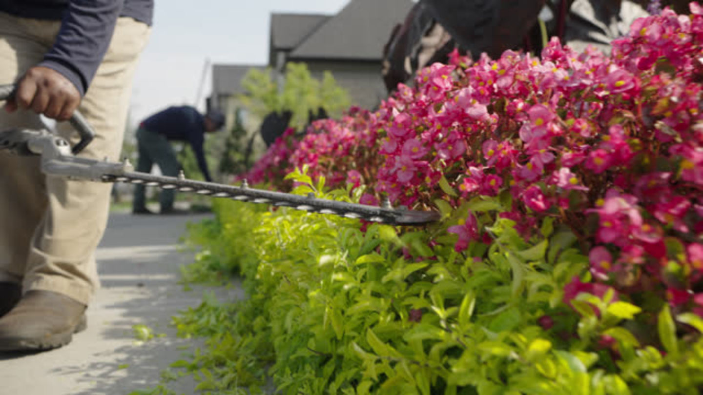Algebra Landscaping(Gardening & Landscaping) in Dubai Marina (Marsa ...