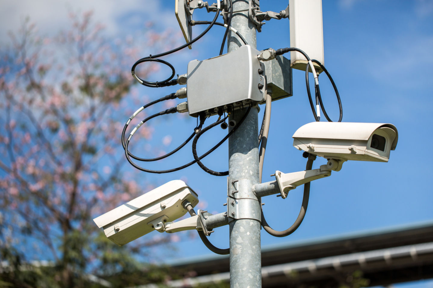 Meon Dmcc(Safety & Security) in Jumeirah Lake Towers (Al Thanyah 5 ...