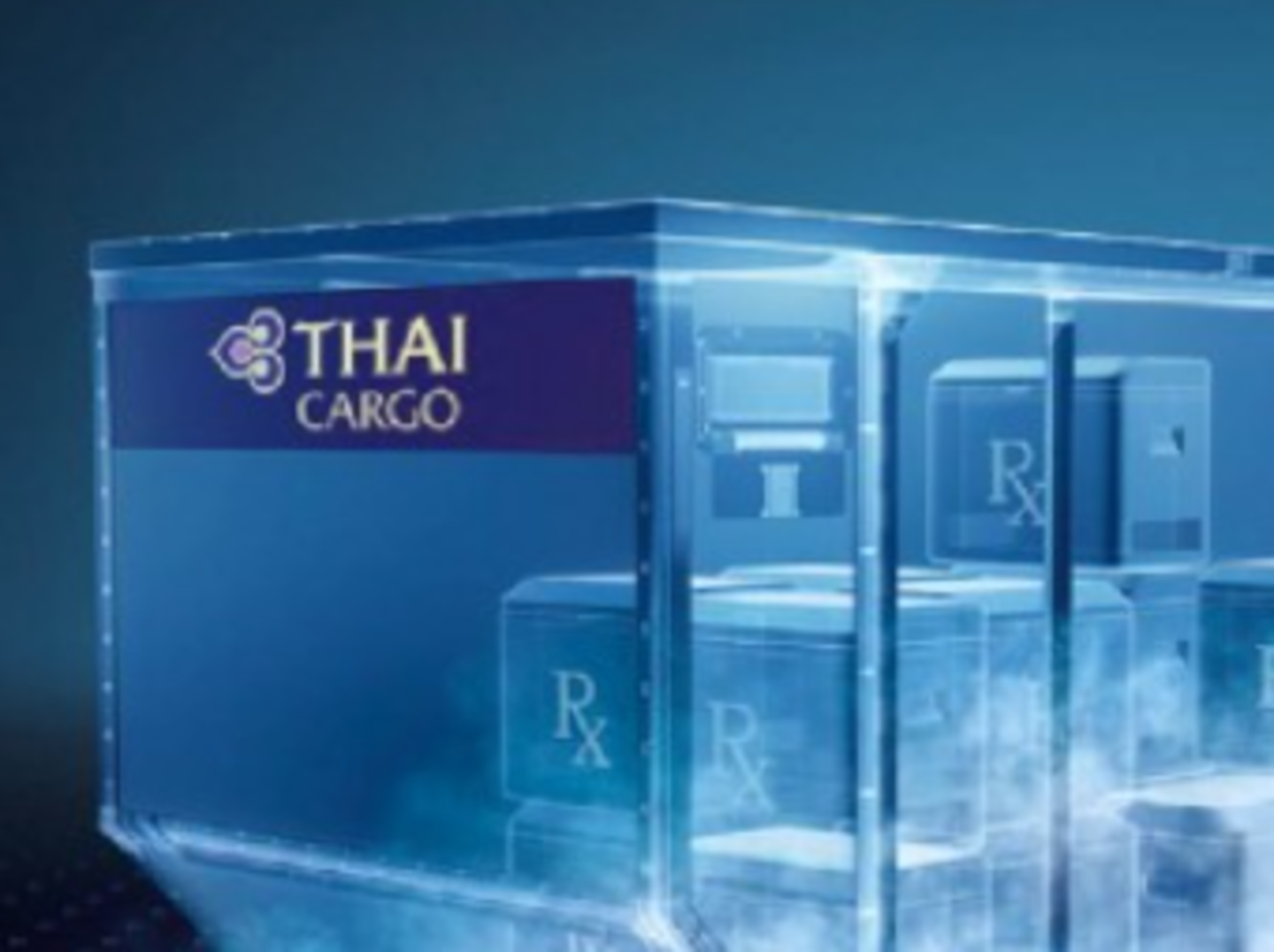 Thai Cargo(Air Cargo Services) in Dubai Cargo Village (Dubai ...