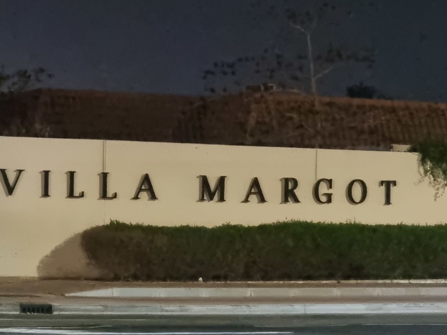 Margot Flowers And Gifts Trading(Plants & Gardening Stores) in Jumeirah ...