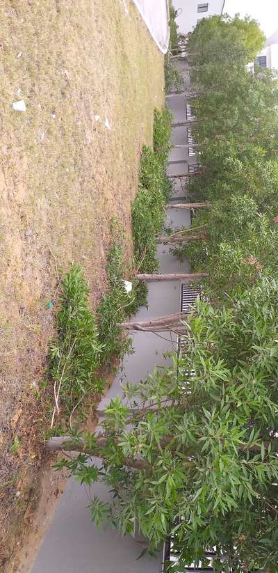 TARIQ KHAN LANDSCAPE AND MAINTENANCE L.L.C(Landscaping) in Al Murar ...