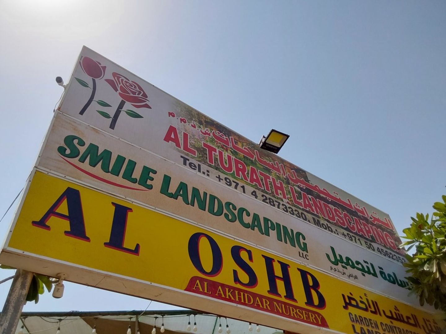 Al Oshb Al Akhdar Nursery(Plants & Gardening Stores) in Warsan 3, Dubai ...