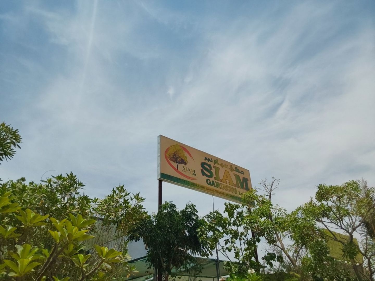 Siam Gardens(Plants & Gardening Stores) in Warsan 3, Dubai - HiDubai