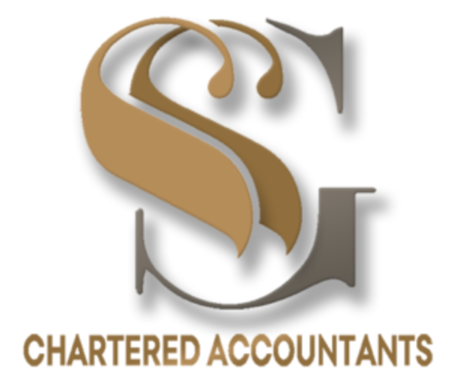 SSG Auditing And Accounting Centre(Accounting Services) in Al Rigga ...