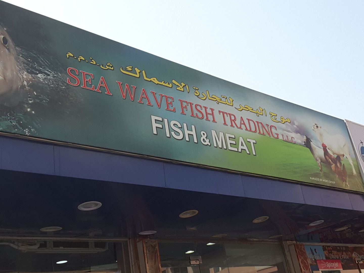 Sea Wave Fish Trading(Supermarkets, Hypermarkets & Grocery Stores) in ...