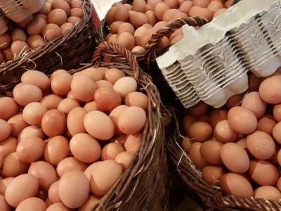 Parker Migliorini International (PMI Foods)(Food Stuff Trading) in ...