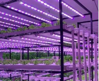 Skyfield Agritech Green Houses & Equipment Trading(Agritech) in Madinat Dubai, Dubai - HiDubai