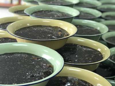 Al Omani Sweet Factory(Bakeries, Desserts & Sweets) in Umm Suqeim 1 ...