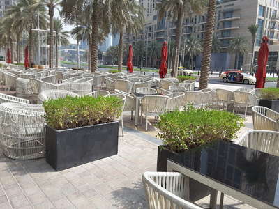 Tche Tche Premier Café(Coffee Shops) in Downtown Dubai, Dubai - HiDubai