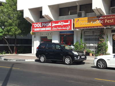 Al Dolphin Al Azraq Documents Clearing(Business Setup And PROs) in Al Karama, Dubai - HiDubai