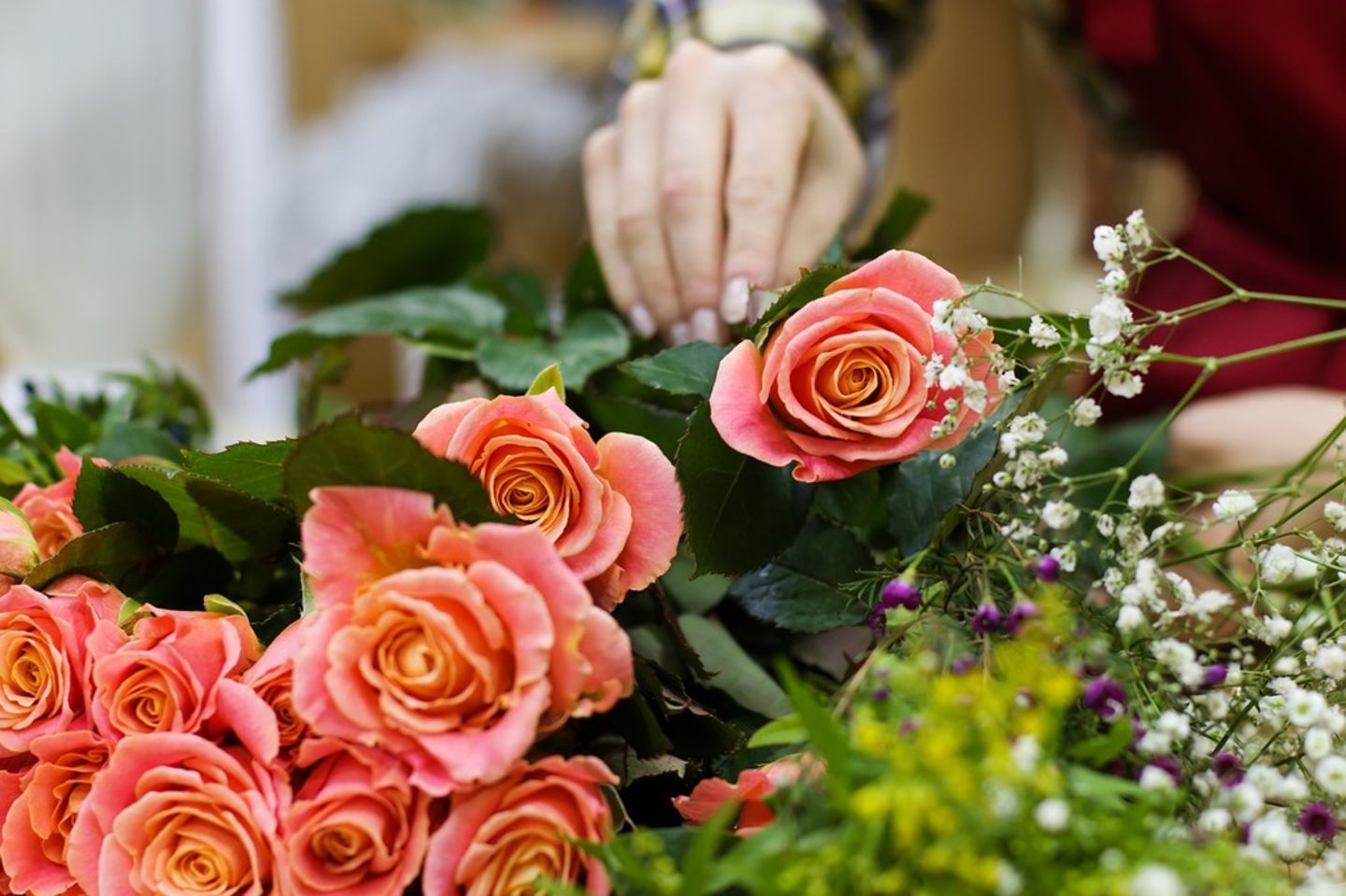 Cortes Pasion De Flowers Trading(Souvenirs & Gifts) in International ...