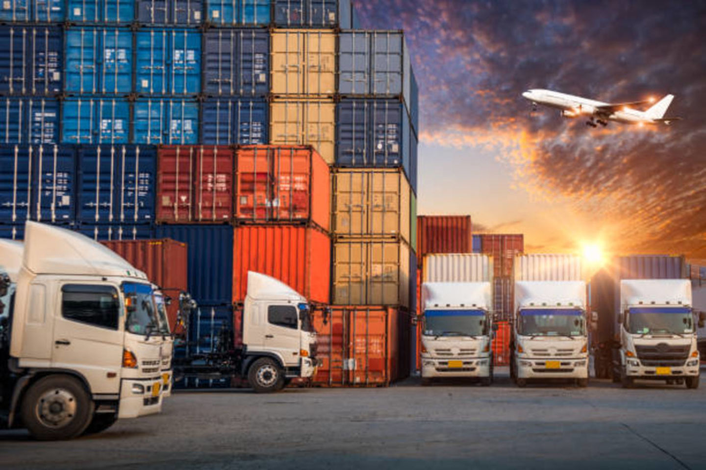 The Vision Shipping & Logistics(Sea Cargo Services) in Jebel Ali Free ...