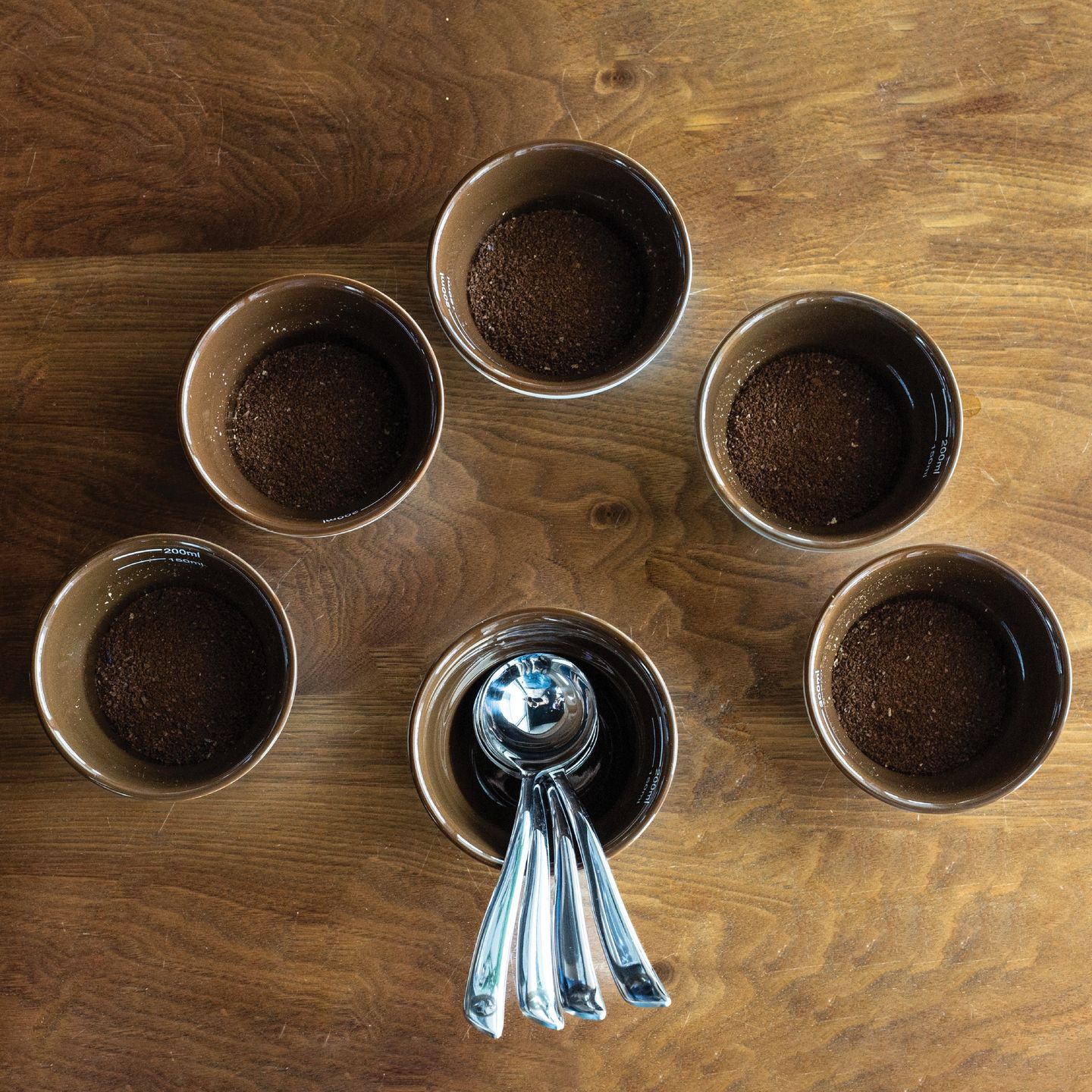 Doppio Roasters(Cafeterias) in Jumeirah 1, Dubai - HiDubai