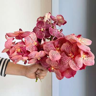 Florette Marche Aux Fleurs(Souvenirs & Gifts) in Dubai Investment Park ...