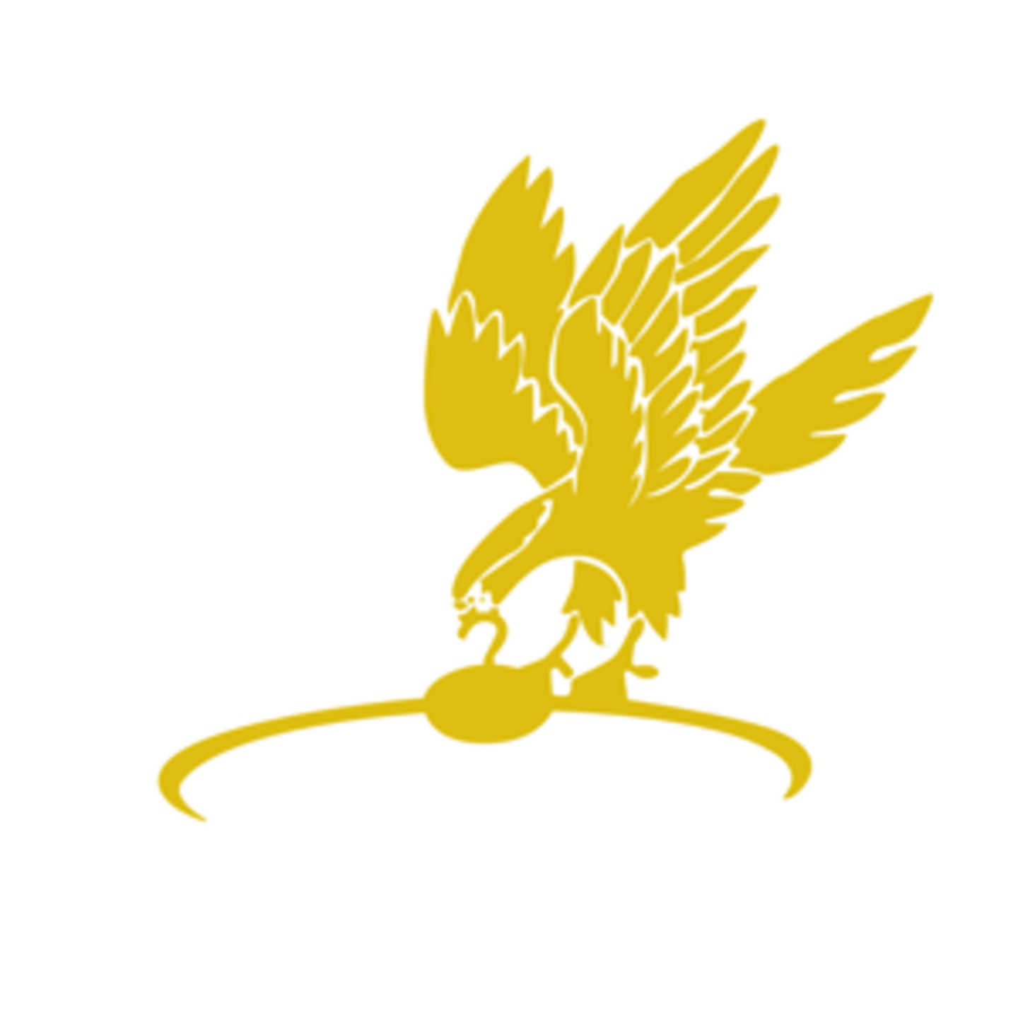 Bright Golden Falcon Laundry(Laundry) in Al Warqa'a 1, Dubai - HiDubai