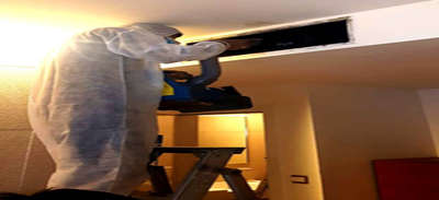 Blue Diamond General Maintenance(Cleaning Services) in Port Saeed ...