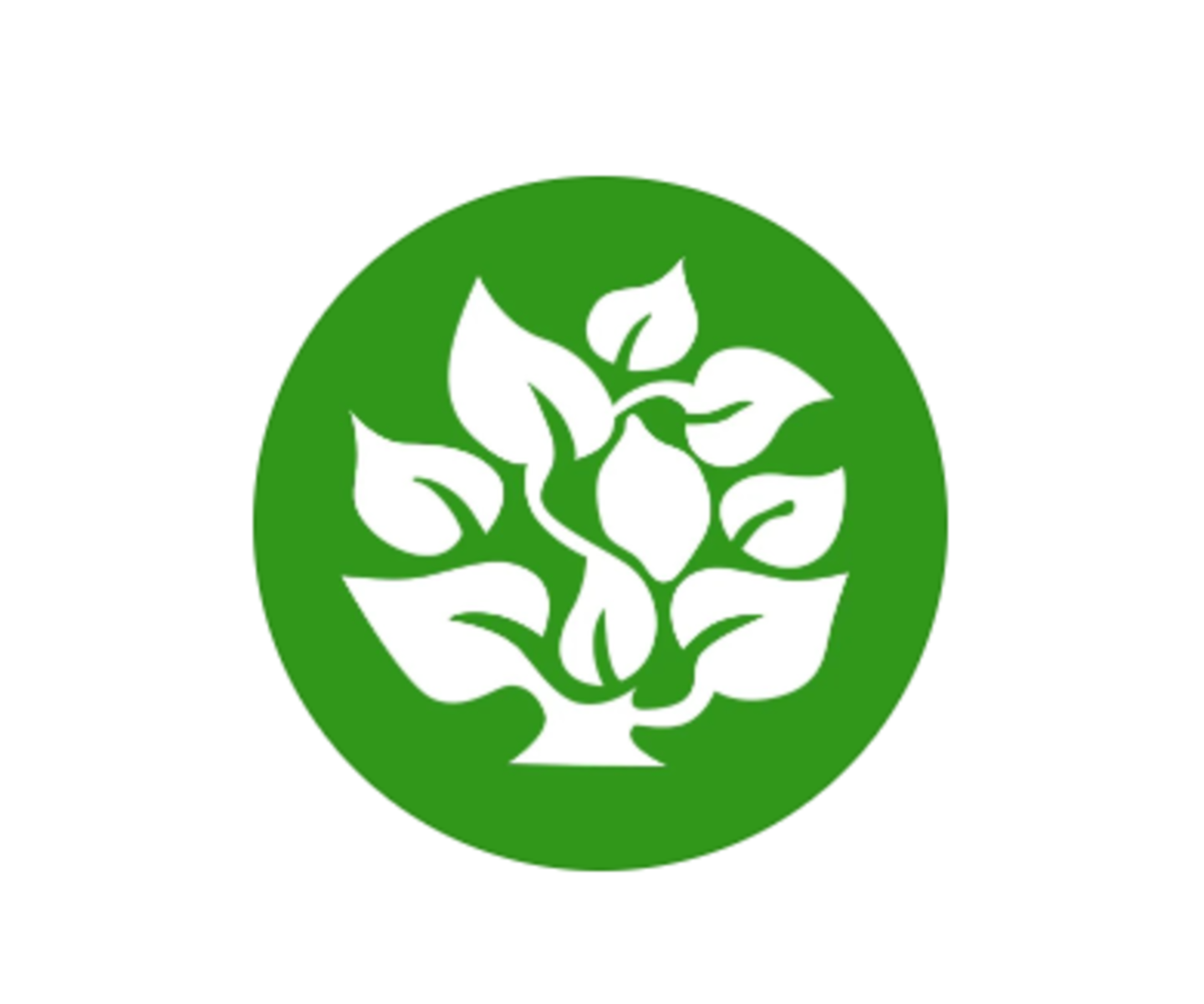 Lemon Tree Spa Salon(Wellness Services & Spas) in Jumeirah Beach ...