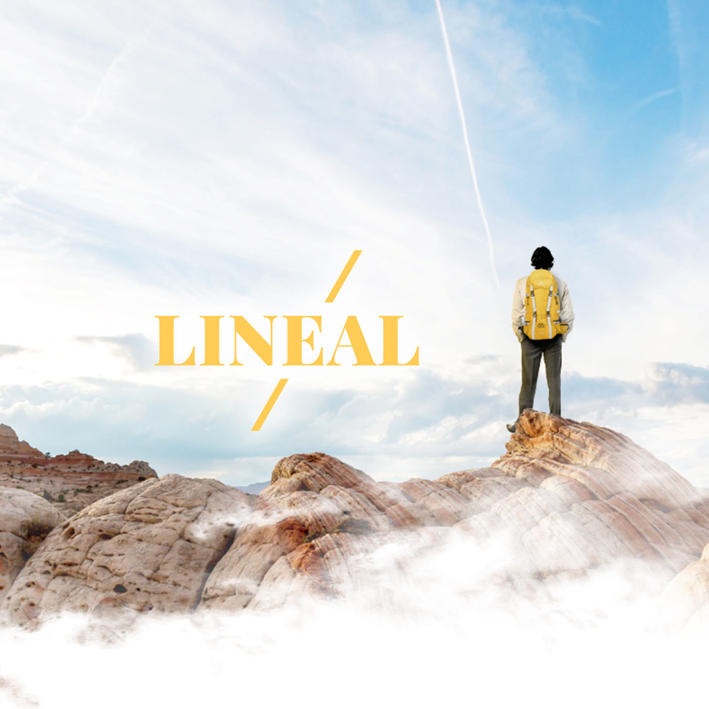 Lineal Project Management L.L.C.(Business Consultation Services) in Al ...