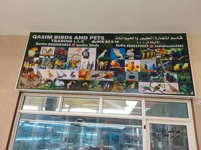 Qasim Birds And Pets Trading(Animal Shelters / Adoption Centres) in ...