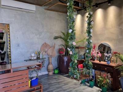 Molidehua Flower(Plants & Gardening Stores) in International City ...