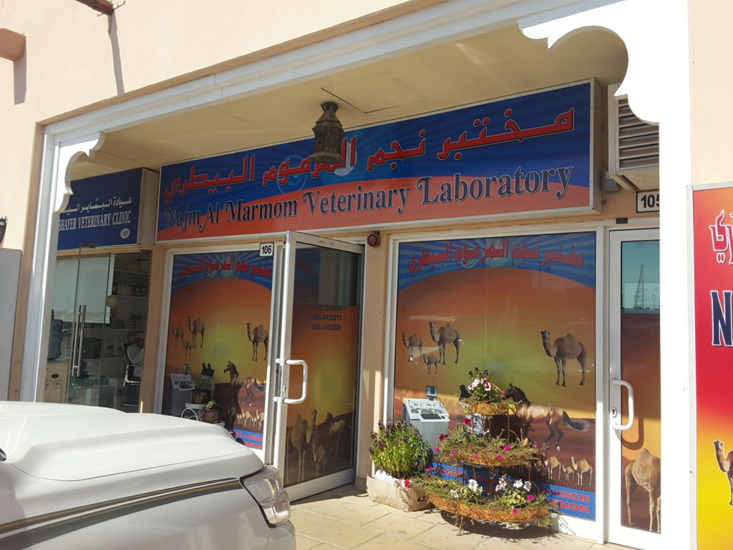 Najm Al Marmom Veterinary Laboratory(Pet Clinics & Vets) in Margham ...