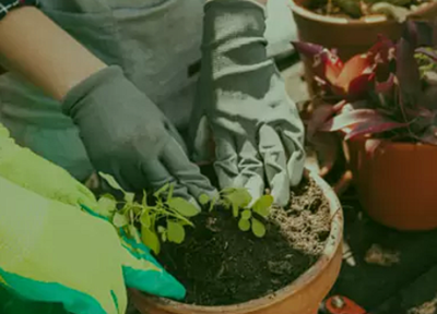 Speedex Tools(Hobby Shops) in Al Quoz Industrial 1, Dubai - HiDubai