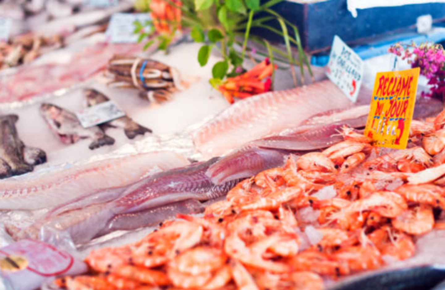 Icy Deck Frozen Fish & Seafood Trading(Food Stuff Trading) in Business ...
