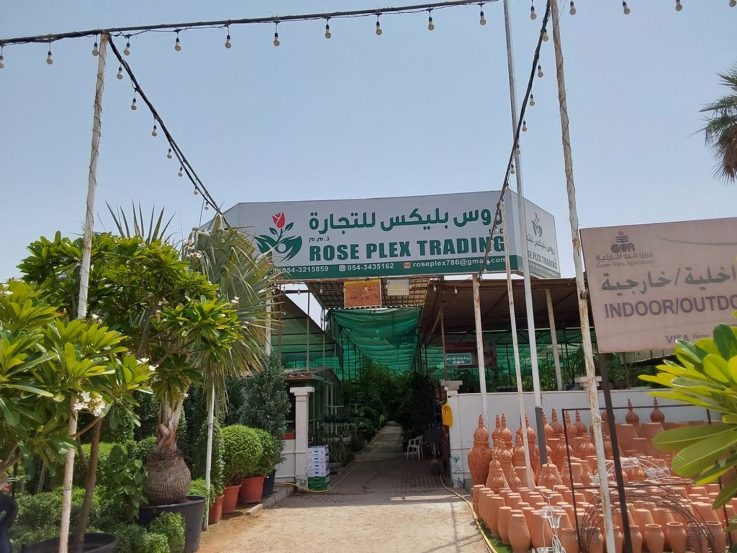 Rose Plex Trading(Plants & Gardening Stores) in Warsan 3, Dubai - HiDubai