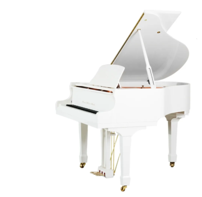 Barbad Musical Instruments(Books, Movies & Music) in Jumeirah 1, Dubai ...