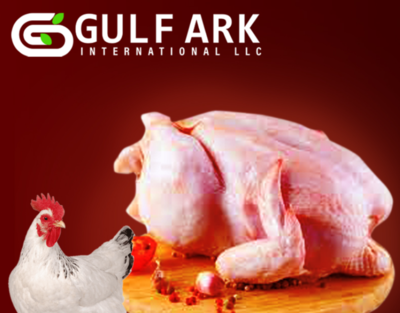 Gulf Ark International(Food Stuff Trading) in Trade Centre 1, Dubai ...