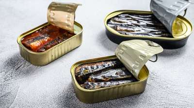 Al Ekwan Al Khamsa Fish Canning(Food Stuff Trading) in Dubai Investment ...