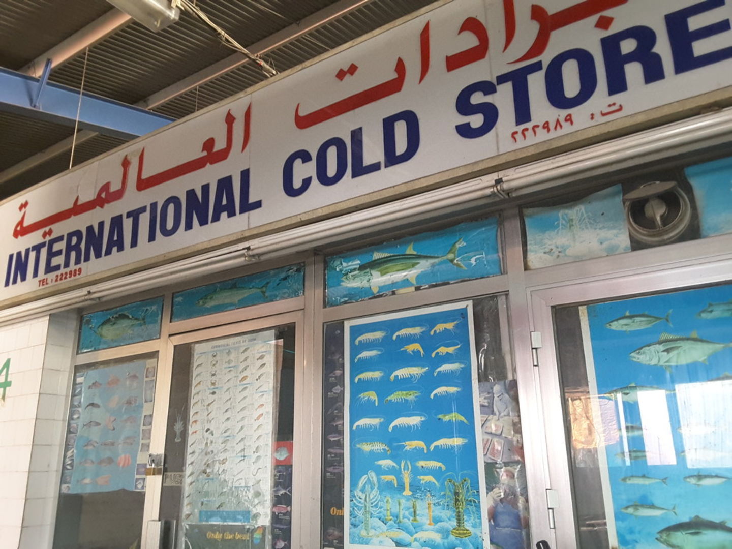 International Cold Stores(Distributors & Wholesalers) in Corniche Deira ...