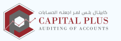 Capital Plus Auditing Of Accounts(Accounting Services) in Business Bay ...