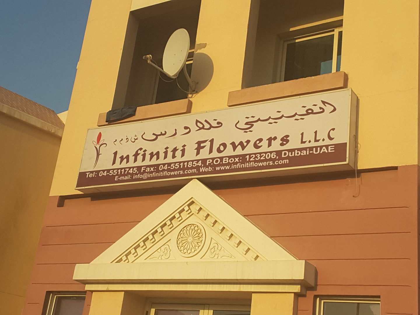 Infiniti Flowers(Plants & Gardening Stores) in International City ...